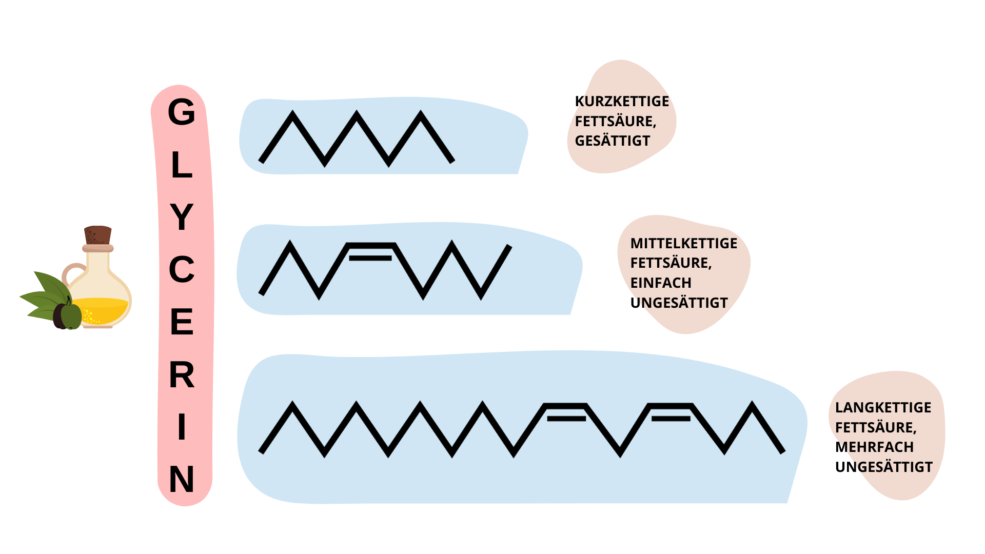 MCT-Fett: Der direkte Weg zu mehr Energie