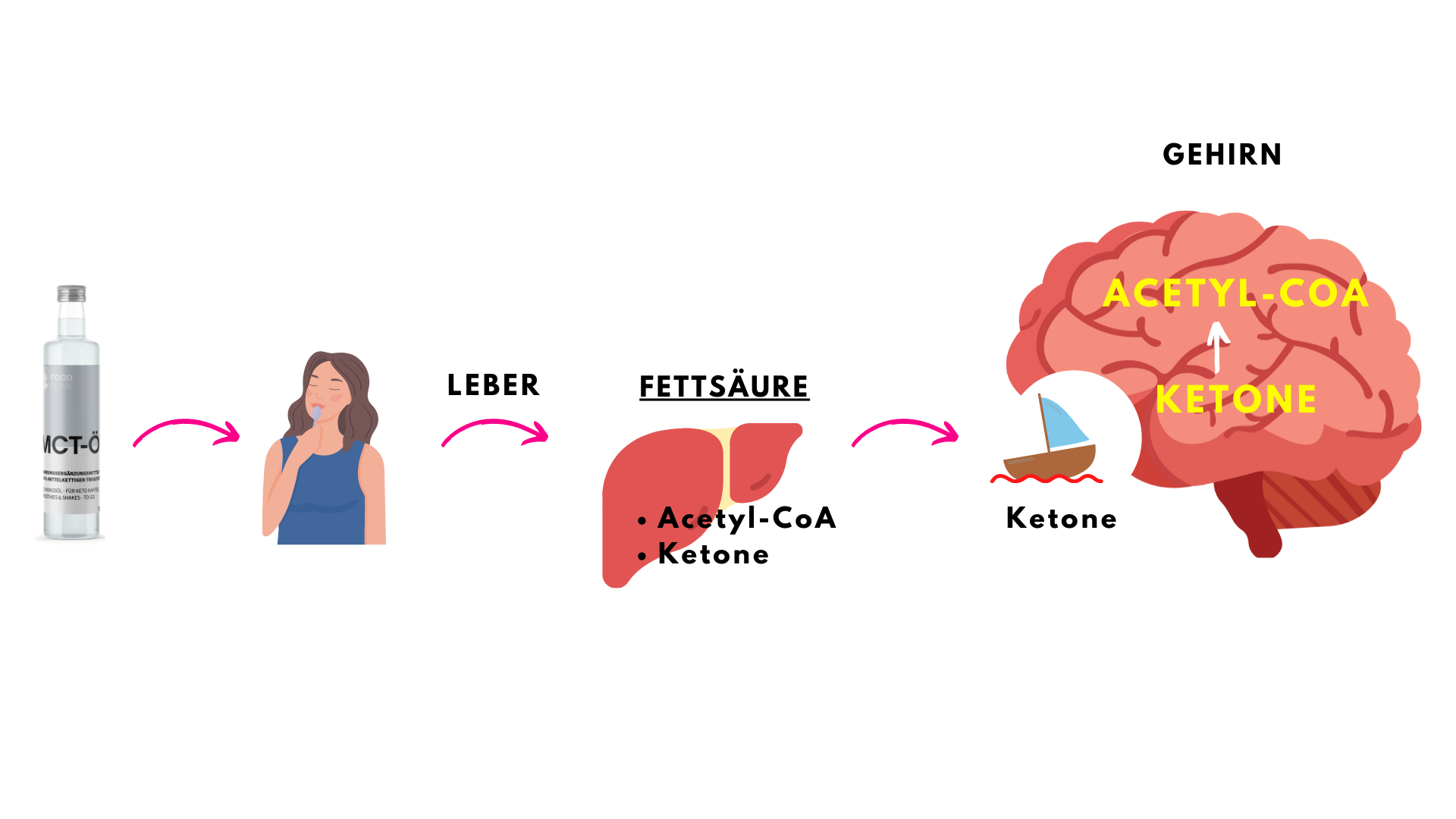 MCT-Fett: Der direkte Weg zu mehr Energie